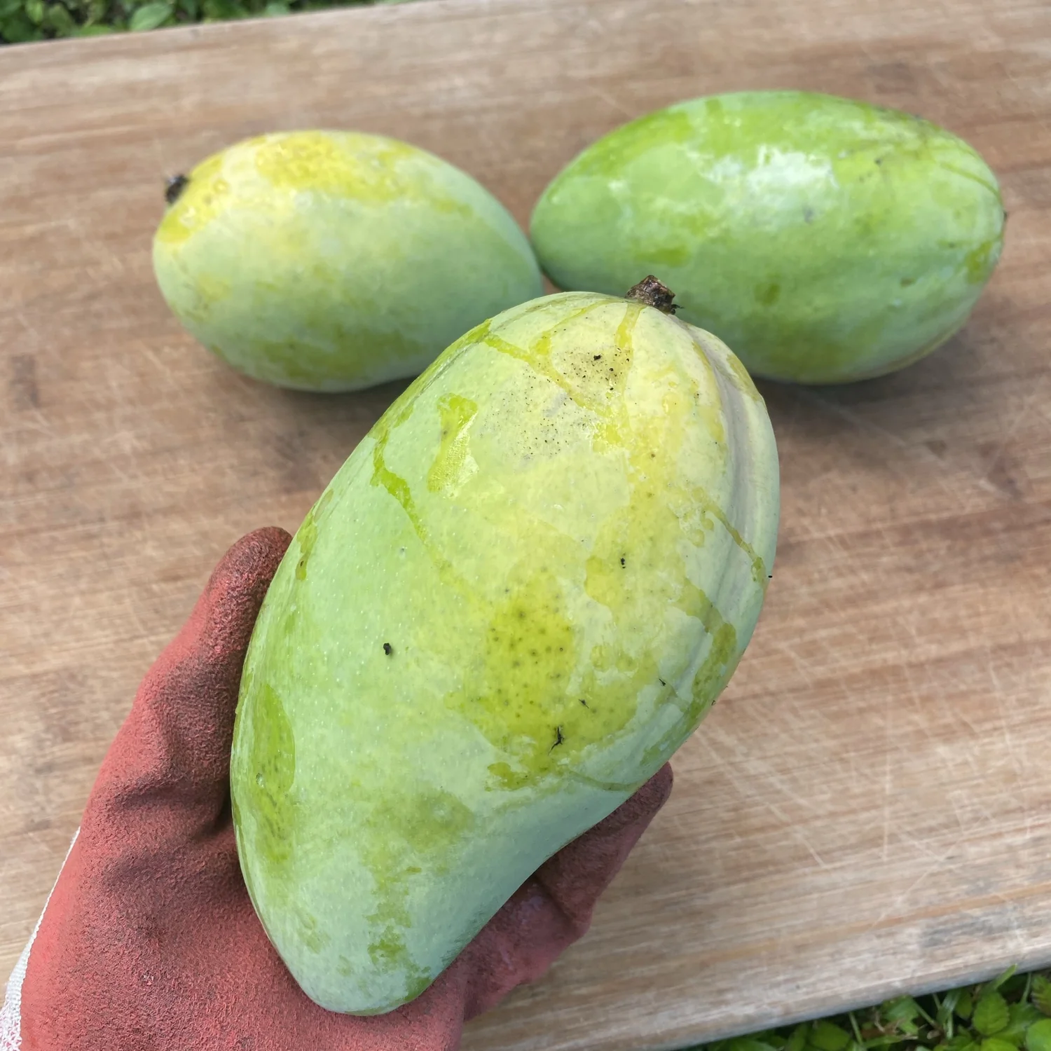 Gift Guide 4: Life-changing fruits, 13–14 spoon-tested mustards, the ...